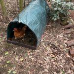 How To: Using a Lashing Belt with Ratchet – Farcyde's Stuff